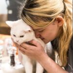 Pause Cat Cafe – pausecharity.org